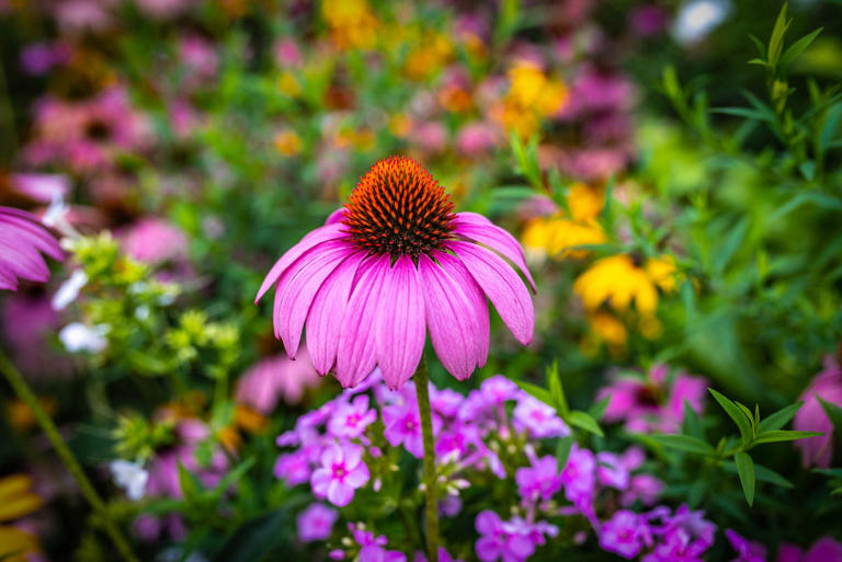 The 70/30 gardening rule is the secret to a beautiful garden all year long