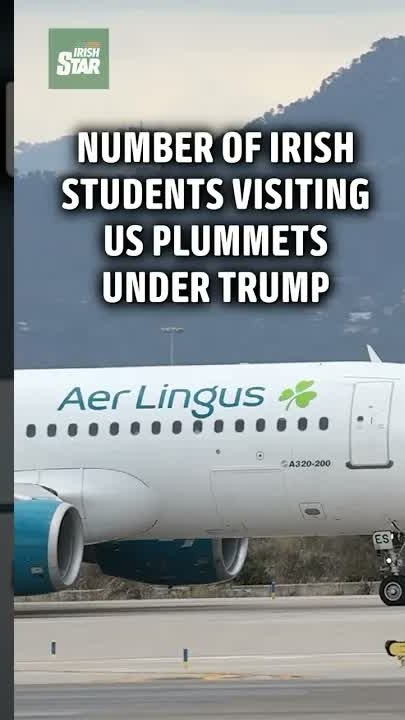 US student visas plummet under Trump administration