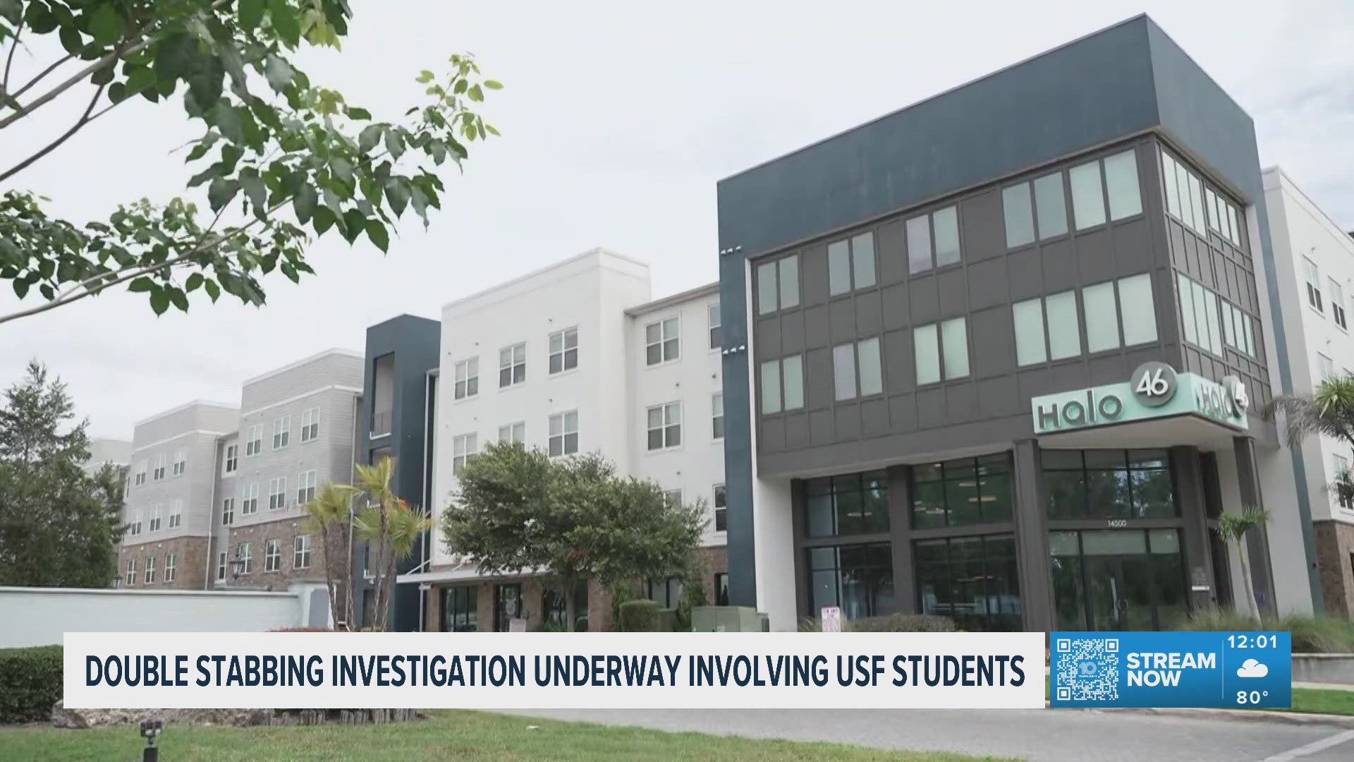 HCSO: Stabbing incident involves two USF students