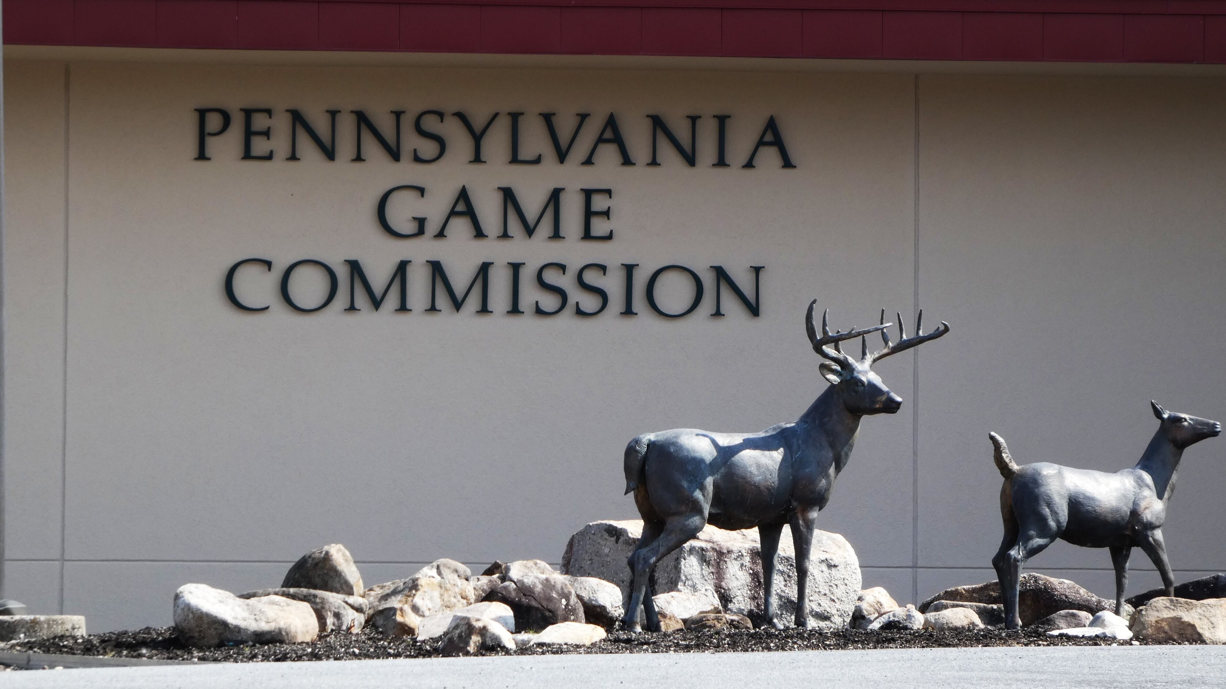 Pennsylvania hunting license sales: What you need to know for 2026-27 ...