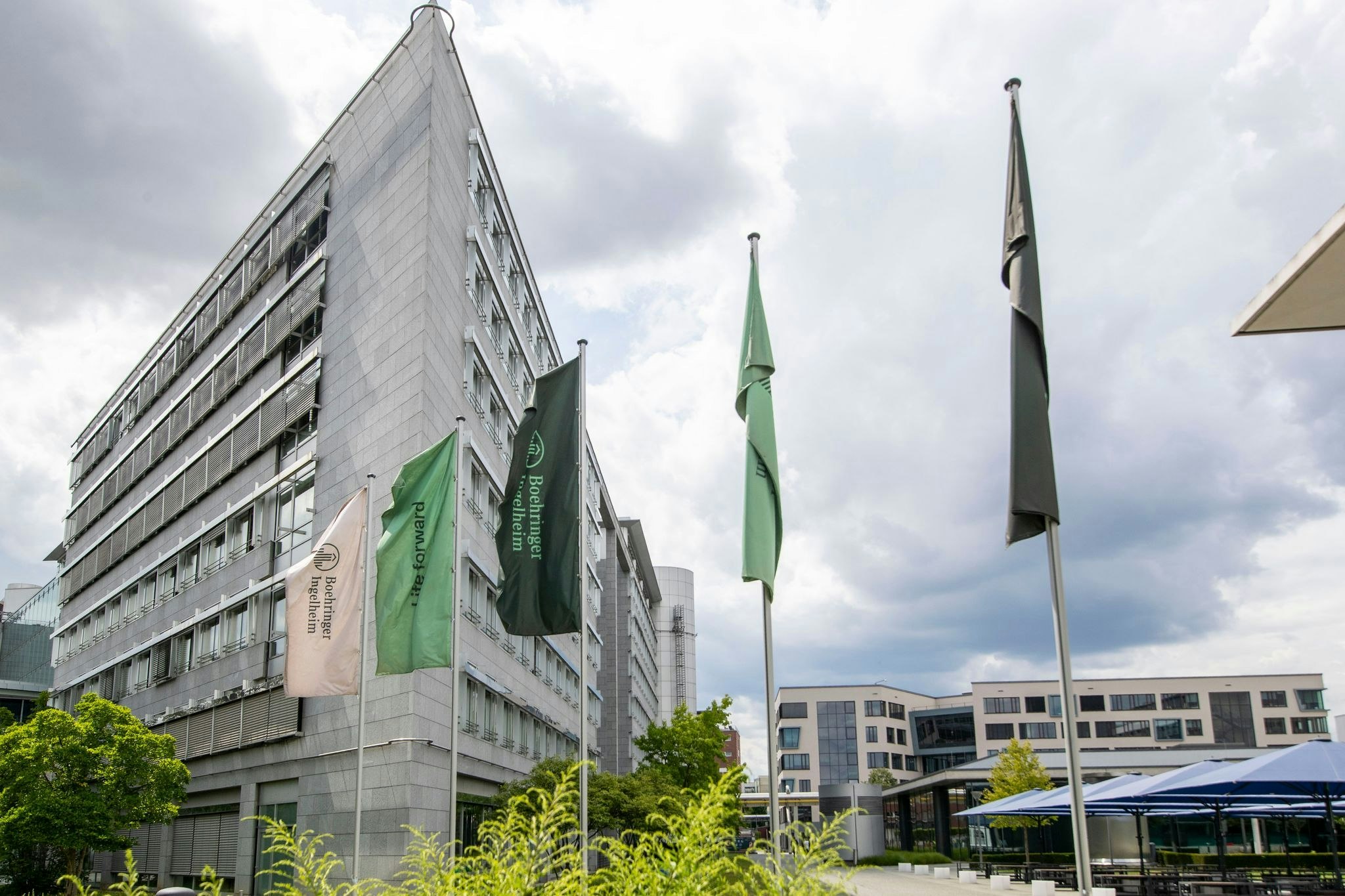 Schlag für Standort Deutschland: Boehringer Ingelheim stoppt ...
