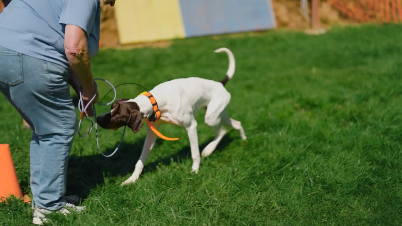 Why teaching a dog to come when called starts before the command