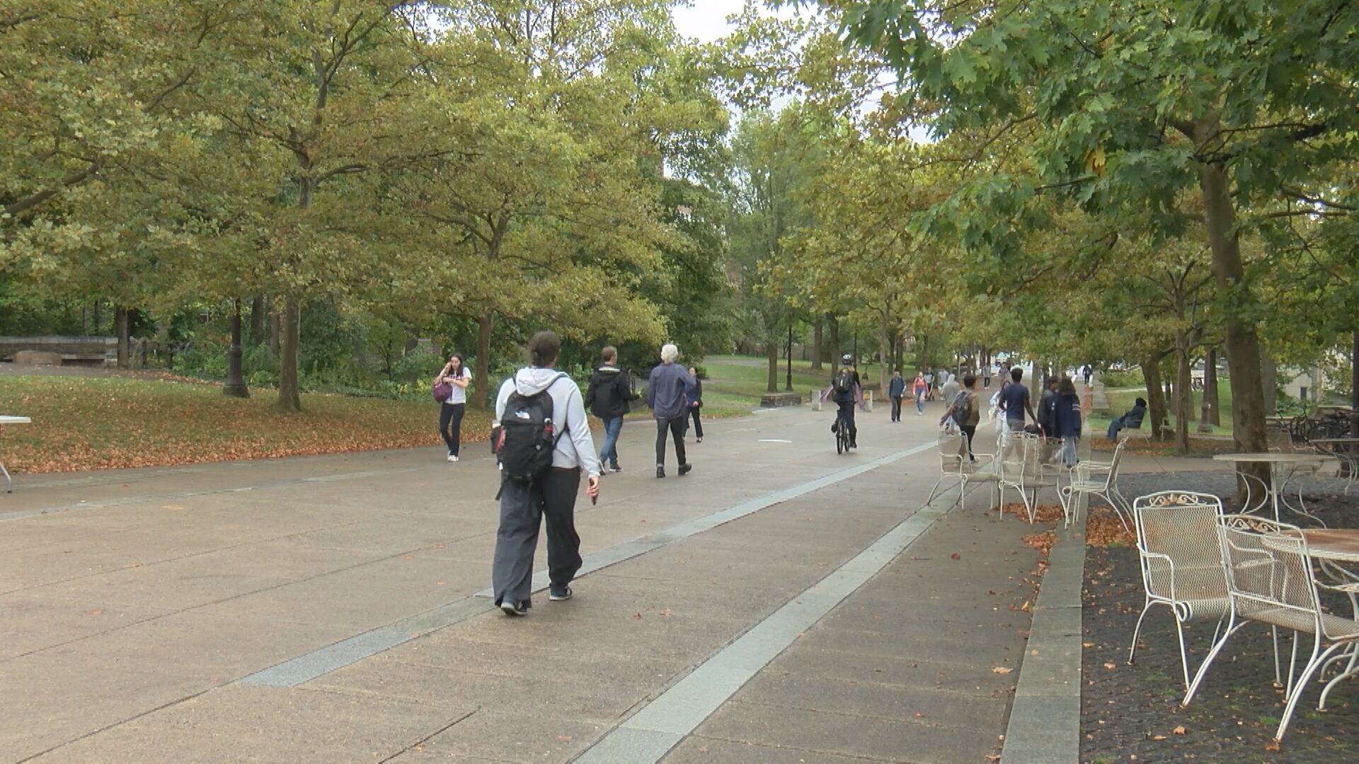 Cornell issues one-year ban to student who claimed the school’s ...