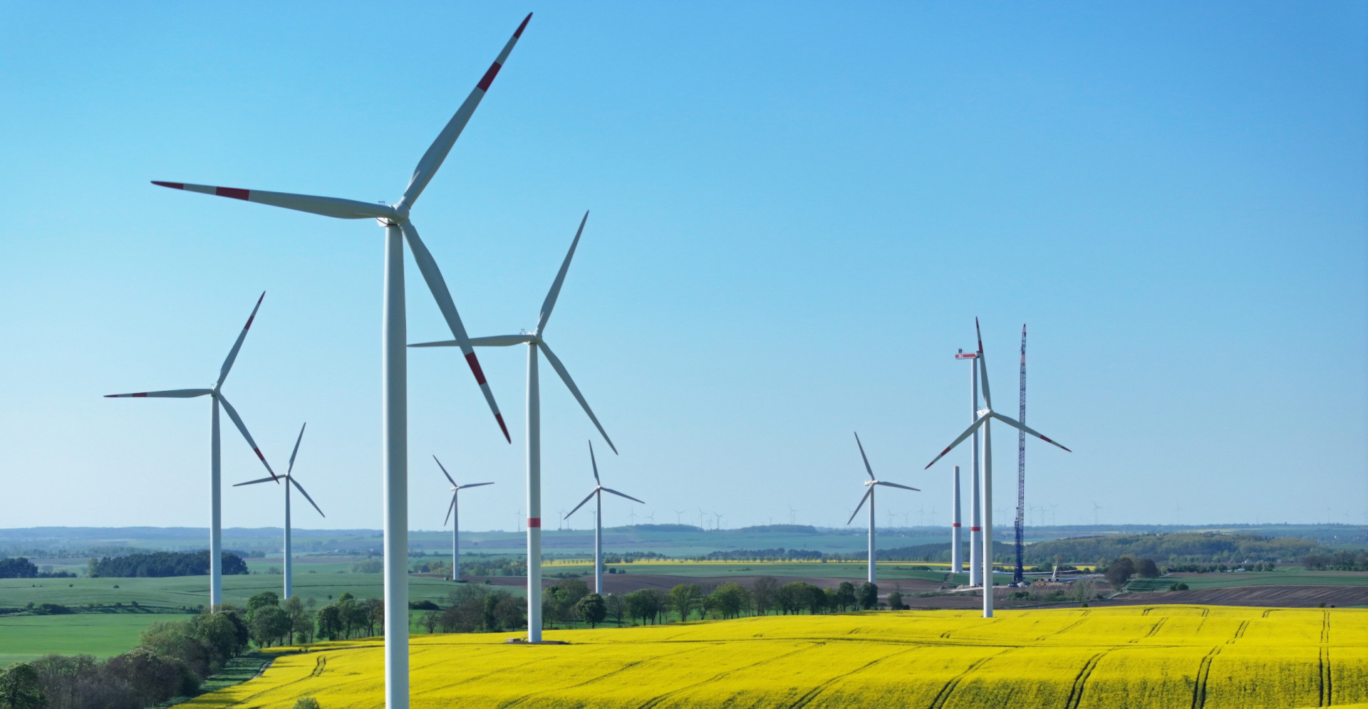 Welche EU-Länder nutzen am meisten grünen Strom?