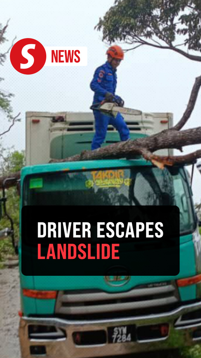 Driver escapes unhurt after tree crashes onto lorry in Telupid landslide