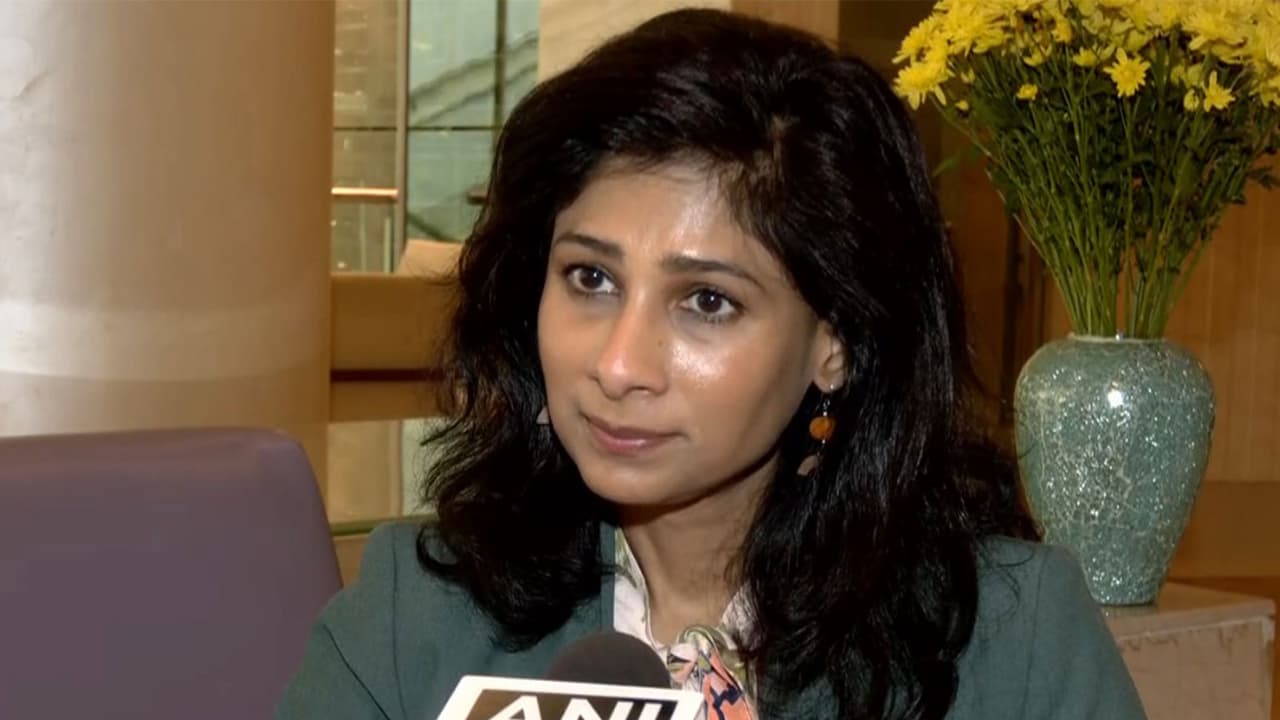 Govt supporting economy via implicit fuel subsidy: Gita Gopinath