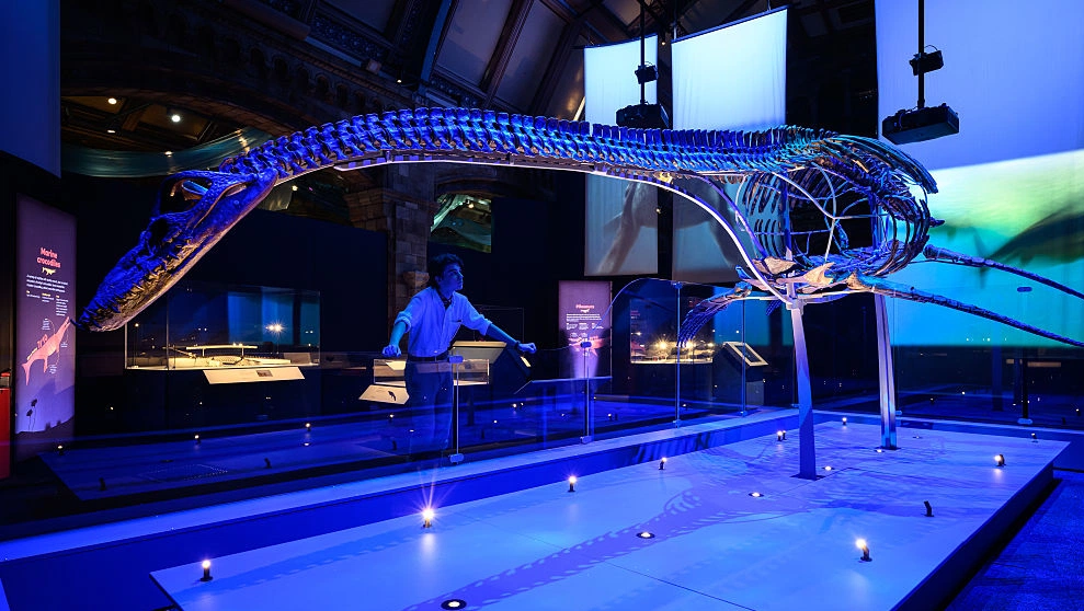 Depicting extinct animals through art and science