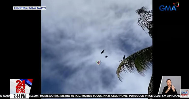Crows attack kite flying over beach in Davao Oriental