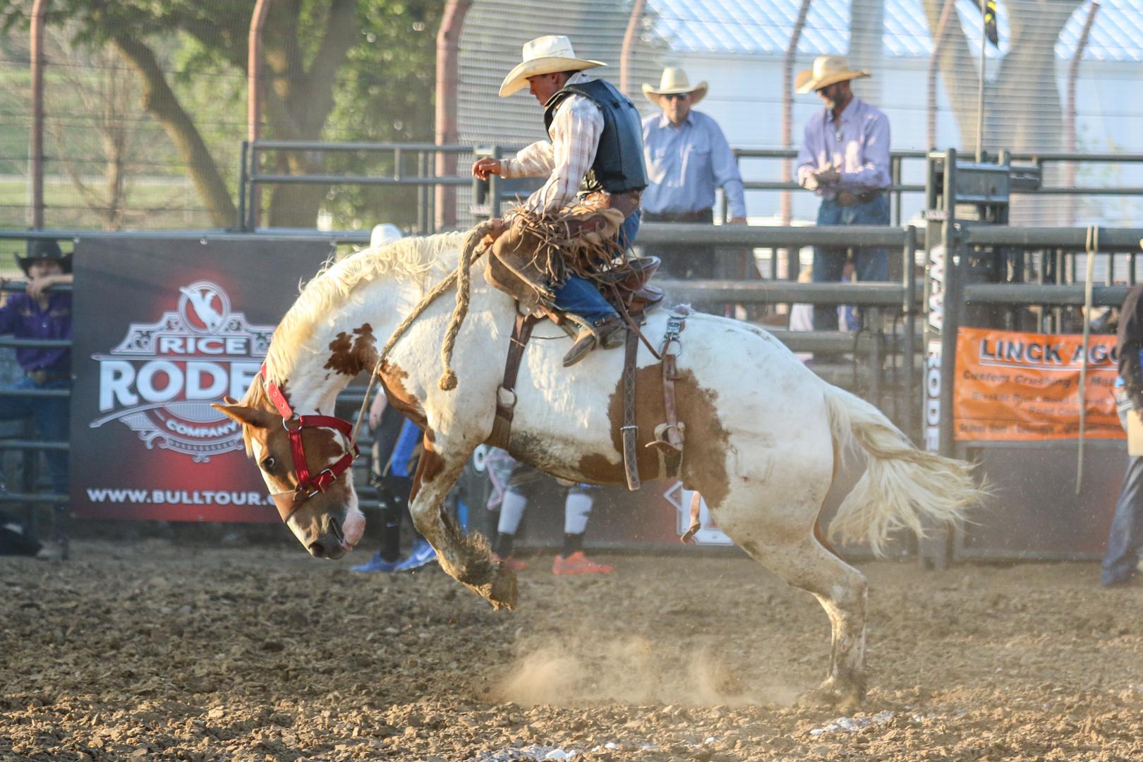 Bulls and Barrels rodeo event set for Dodge County Fairgrounds