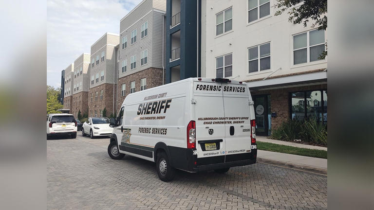 USF student suspect in early morning double stabbing in Tampa: HCSO
