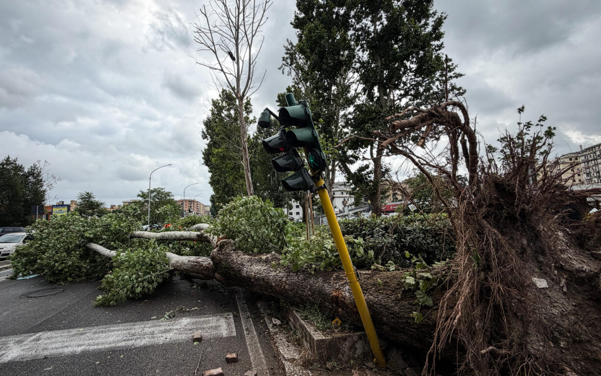 Tromba d’aria su Roma, alberi caduti e strade chiuse: un ferito ...