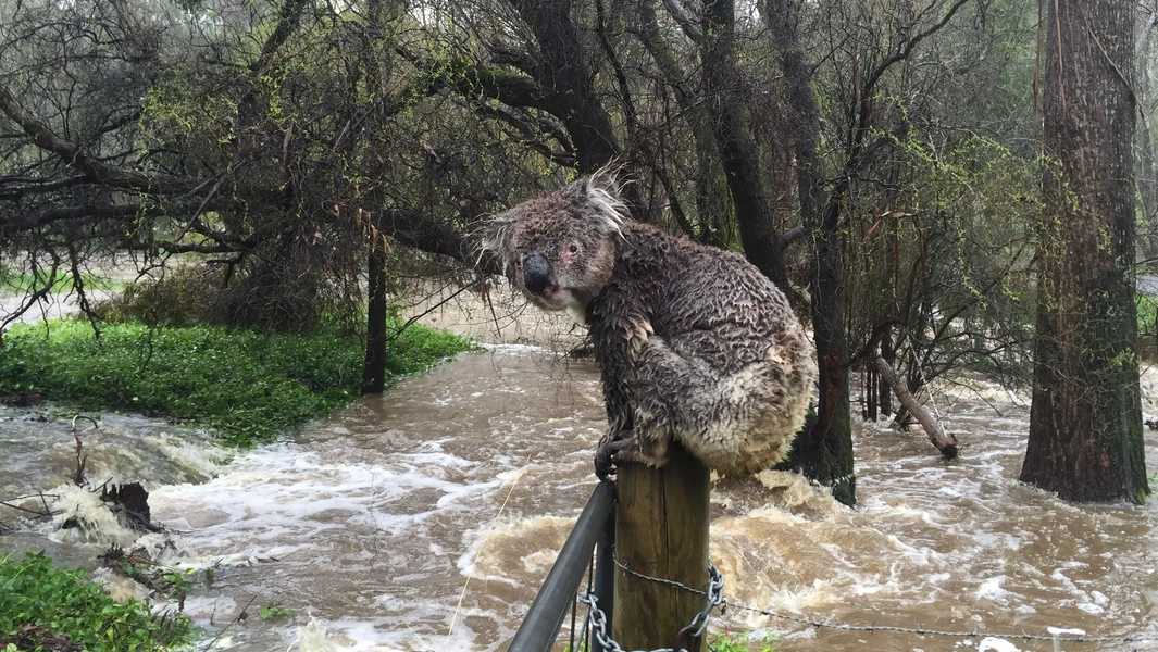 Damaging winds and high tide alerts issued across states