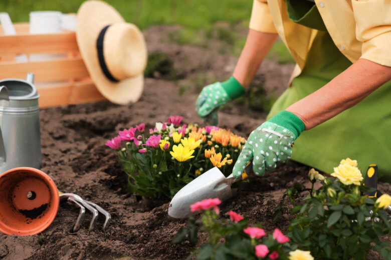 Spring lawn care ROI: which landscaping projects add the most home ...