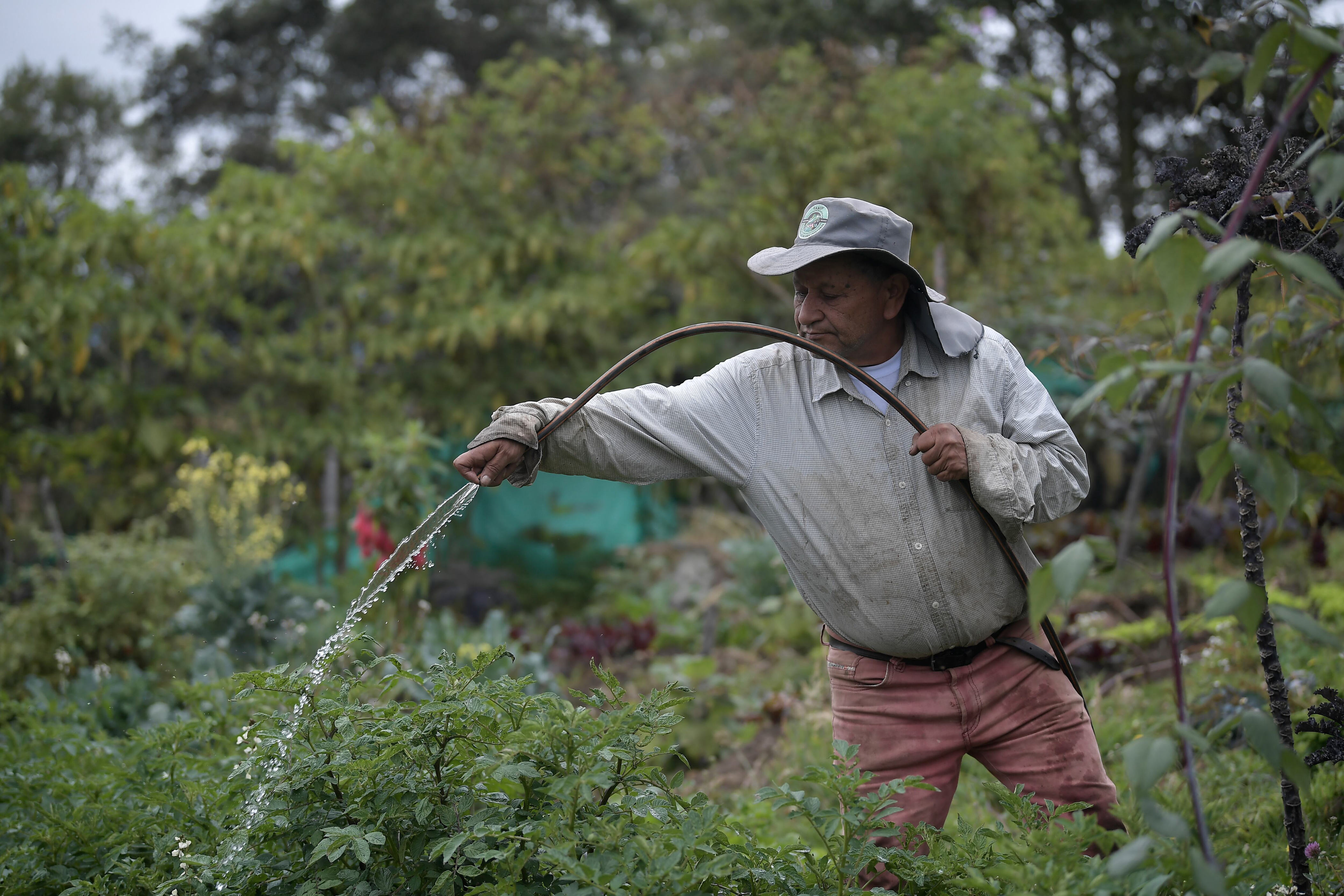 Los COP 44 billones que impulsan la productividad del campo colombiano