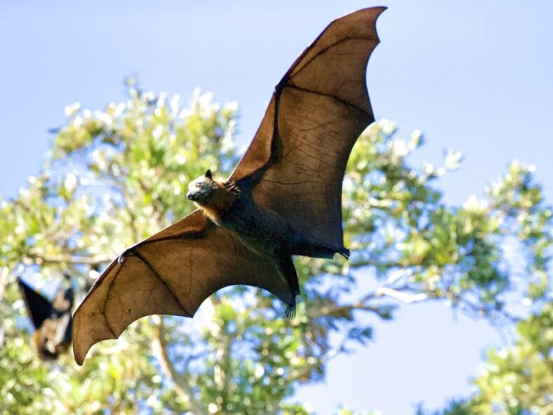 6 legendary creatures people still debate