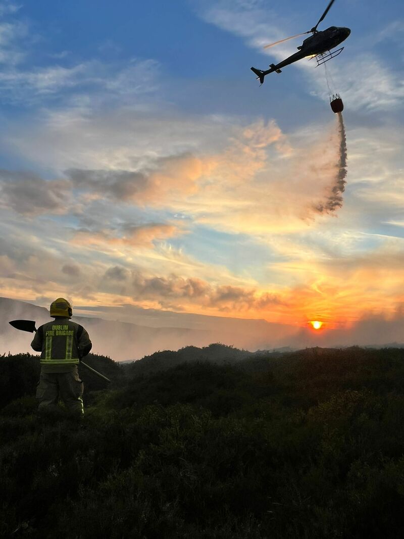 Investigation underway into claim large fire in Wicklow Mountains was ...
