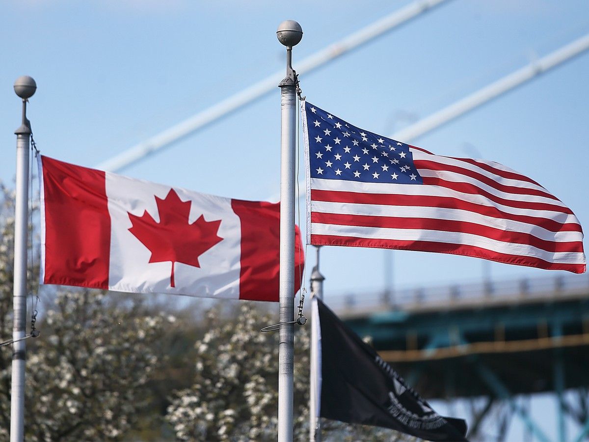Canadian auto industry divided on Trump's proposed 50 per cent US ...