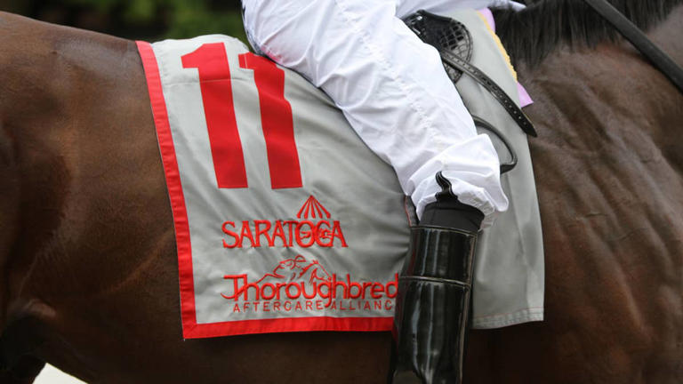 Thoroughbred Aftercare Alliance will be on-site for Belmont Stakes weekend
