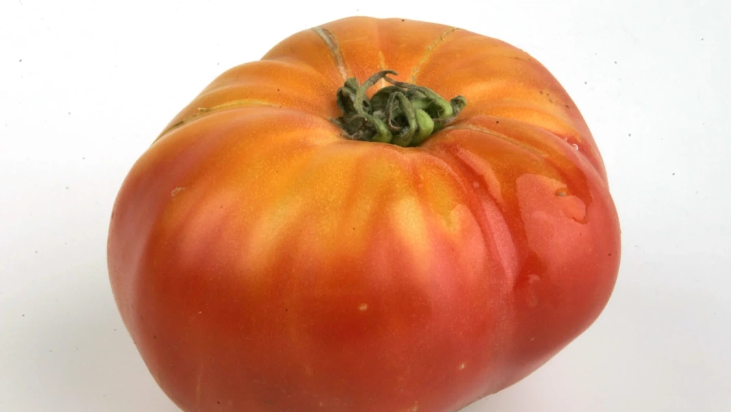 20 tomato varieties to grow in 2026