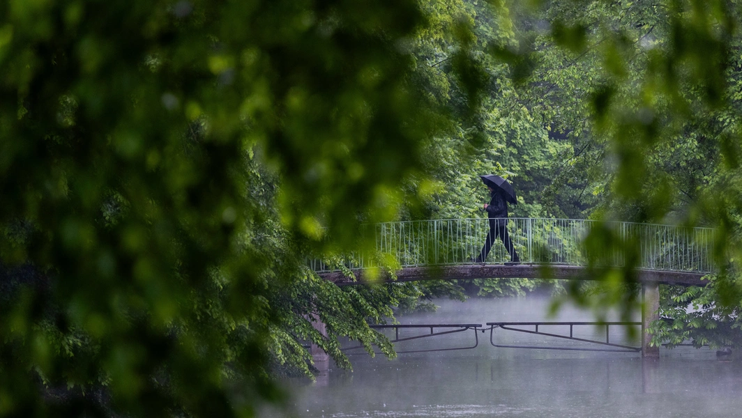 Nature walks and rain sounds show measurable mental health benefits