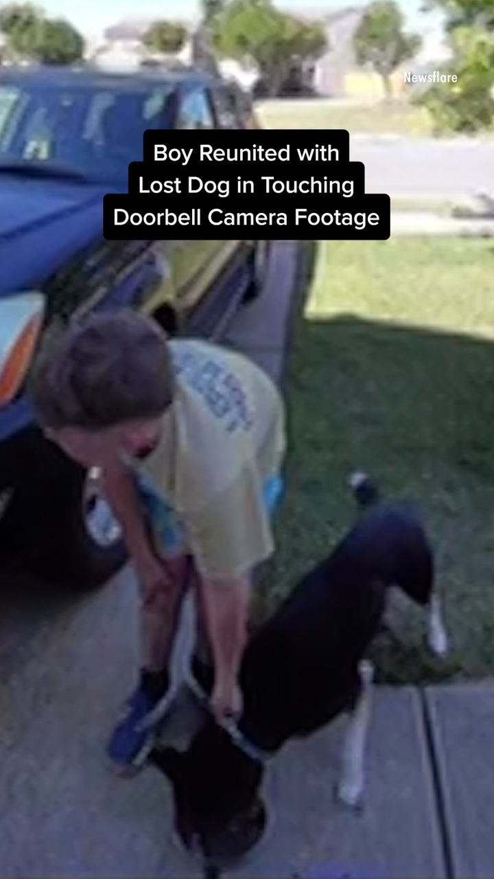 Boy reunited with lost dog in touching doorbell camera footage