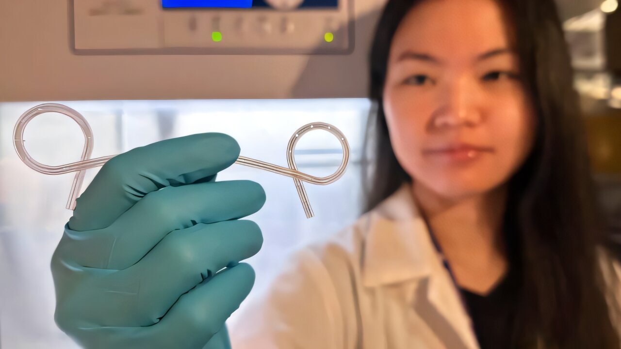 A 3D printed stent, shaped like a lily, could speed recovery after ...