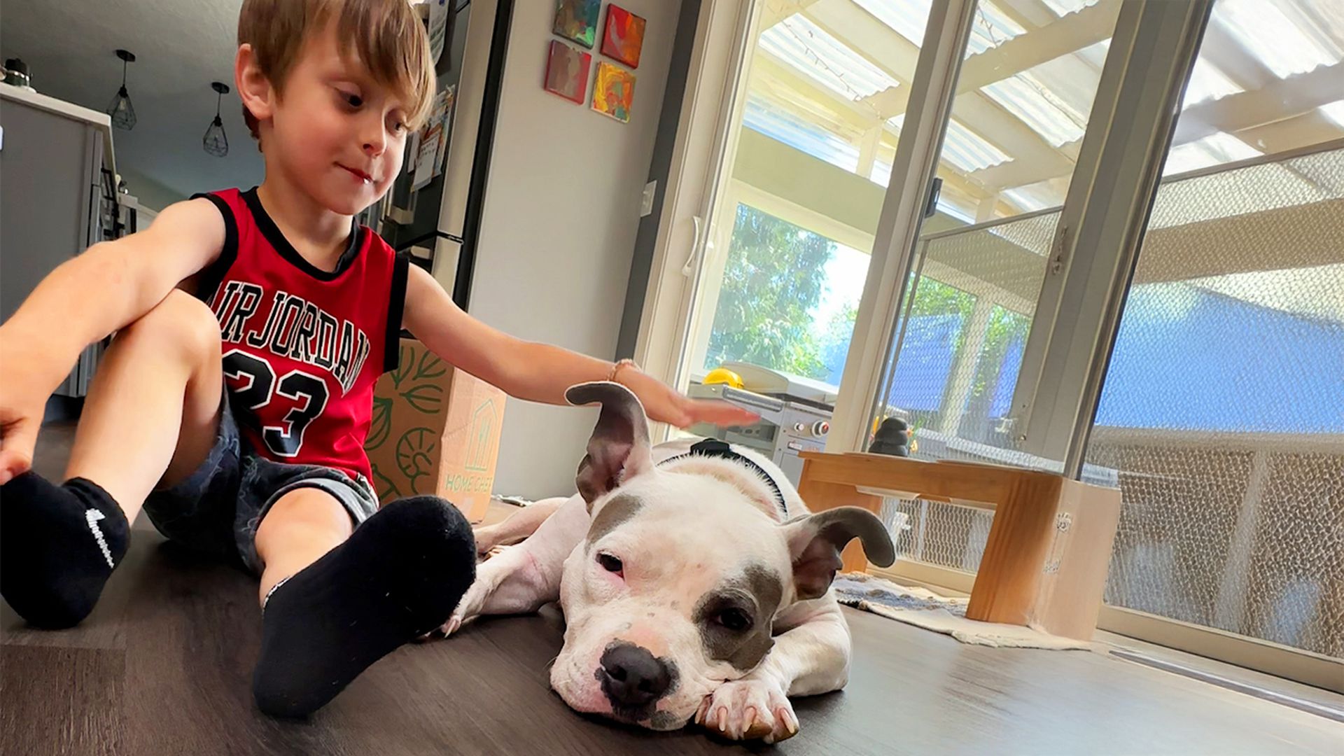 Little boy is this pittie's favorite person