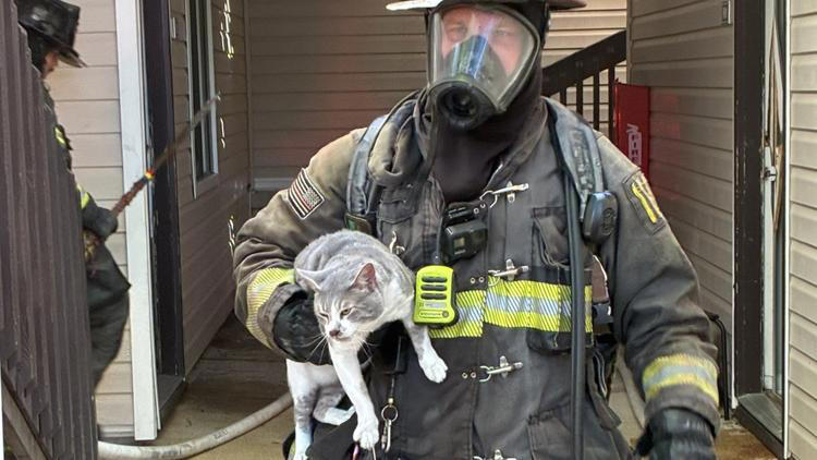 Kitchen fire damages two apartments in Harbison area