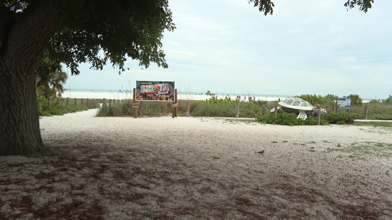 Teams search for missing swimmer after he disappeared in water off ...