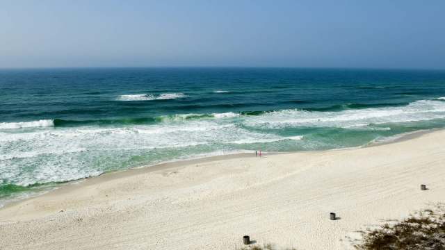Three Florida beaches under advisory after high fecal bacteria levels ...