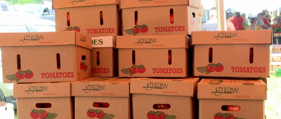 Annual Grainger County Tomato Festival returning next month