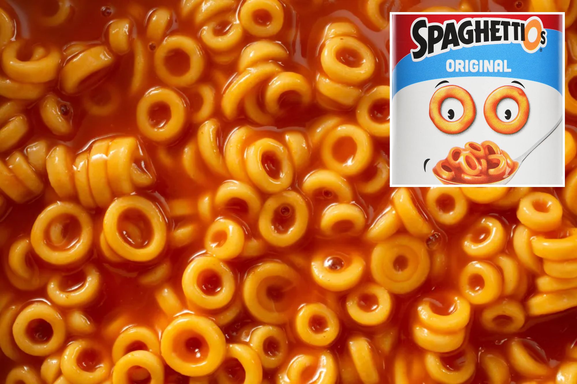 Family claims SpaghettiOs infested with 'actively moving' worms or ...