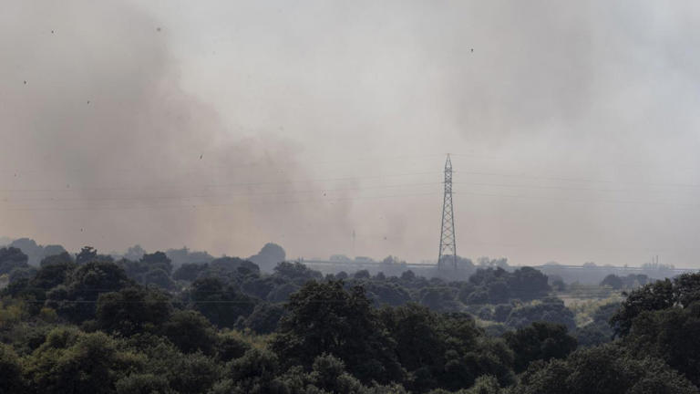 La UME combate, con el apoyo de Castilla-La Mancha, un incendio de ...