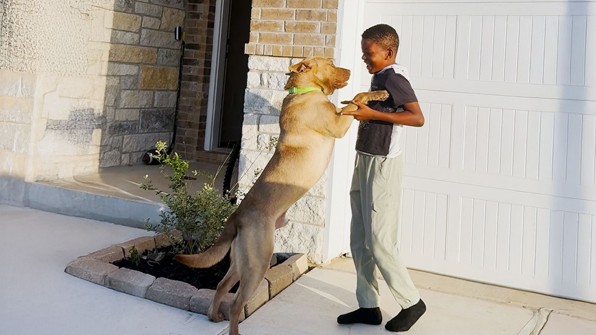 Boy's biggest dream was to rescue a pitbull from the shelter