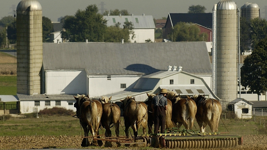 10 common Amish jobs