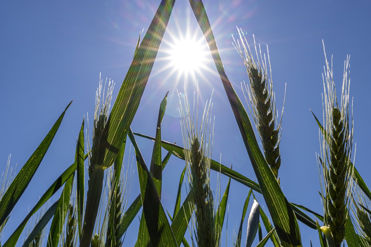 Wetter in Niedersachsen: Sommer-Krimi! „Was braut sich denn da zusammen?“