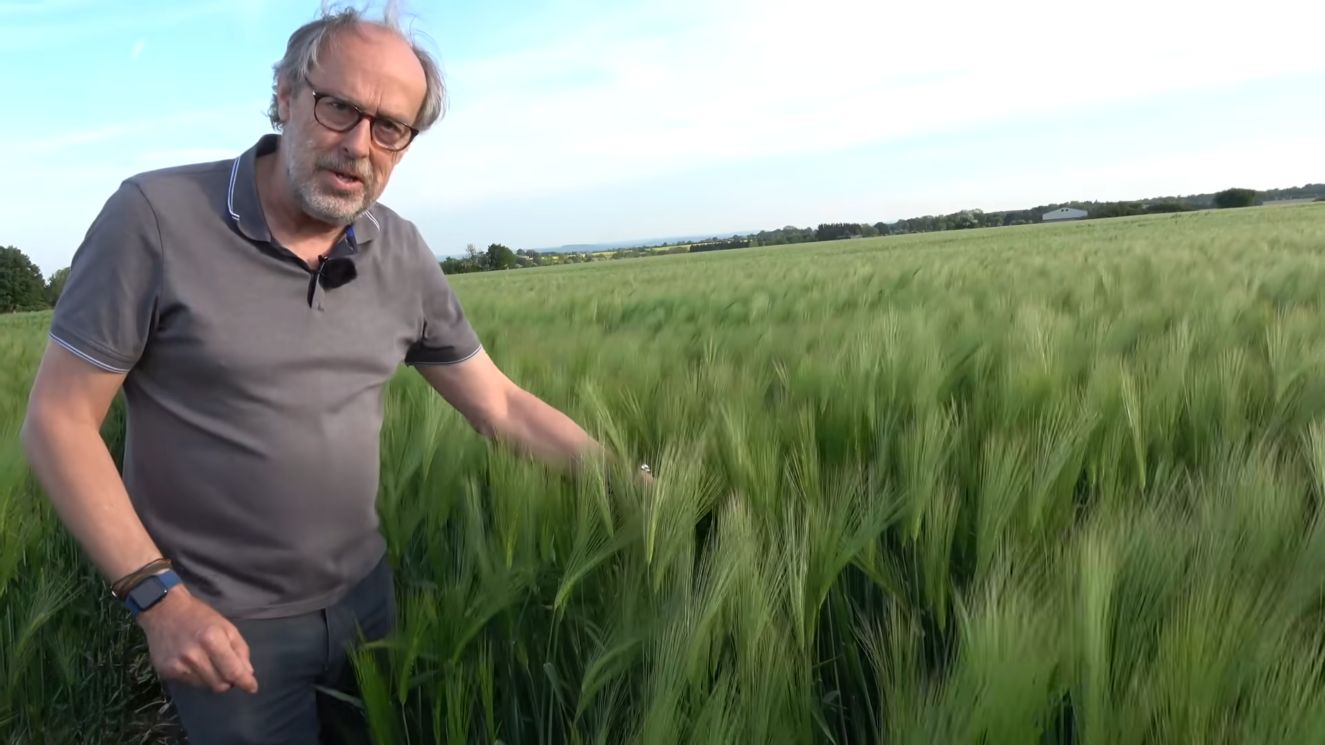 Why the upcoming harvest looks like a great success