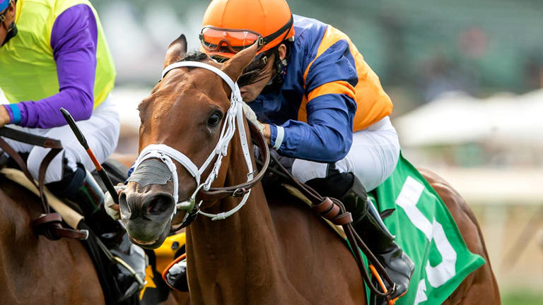Lilo Lil looks for second straight stakes victory in Honeymoon