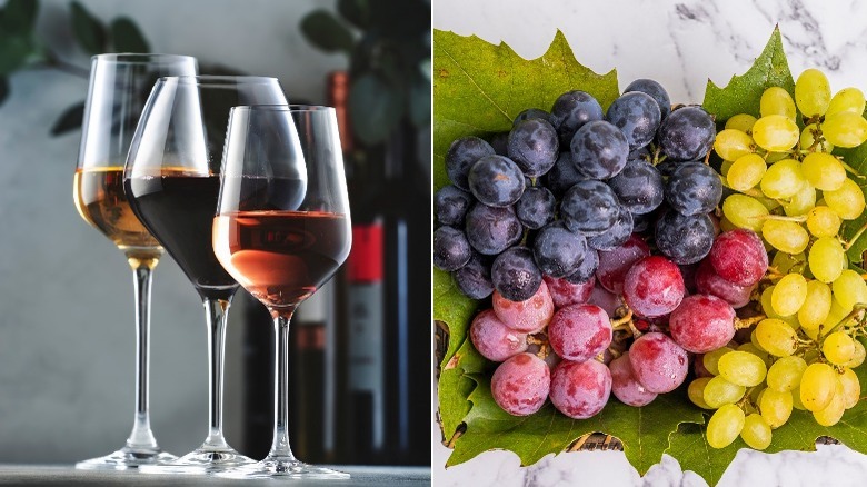 17 different types of grapes explained