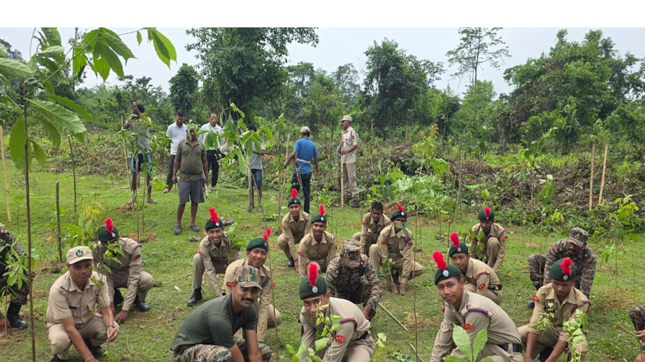 Red Shield Division leads massive tree plantation drive in Upper Assam