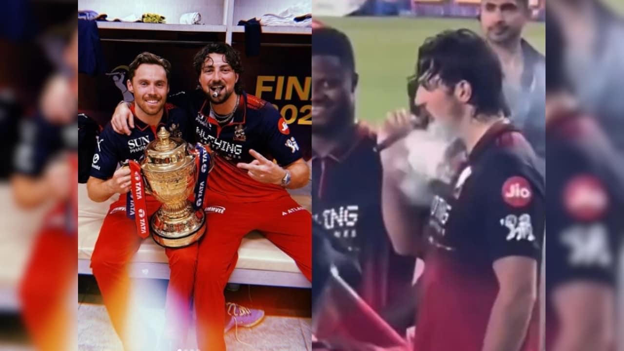 Did Tim David smoke cigar on field after RCB's IPL win? Viral video ...