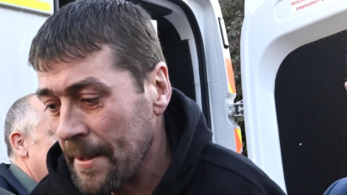 Cork man to be sentenced next month for manslaughter of mother of two ...