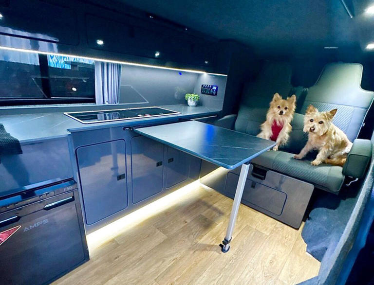 Man saves £1.5k a month by living in VW van with two dogs