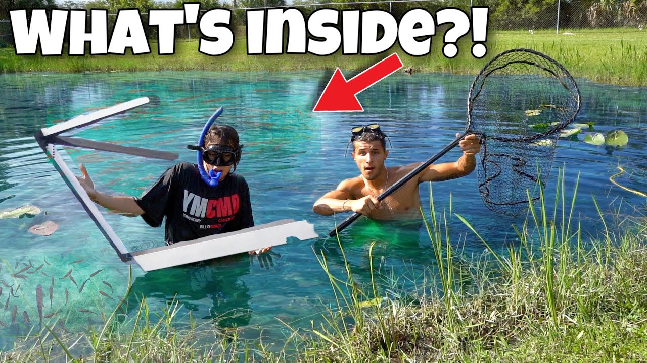 Snorkeling my giant backyard fish pond! Epic