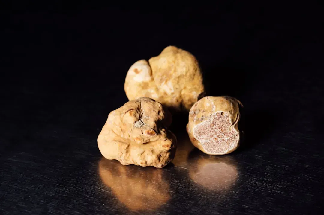 10 most expensive foods in the world ranked