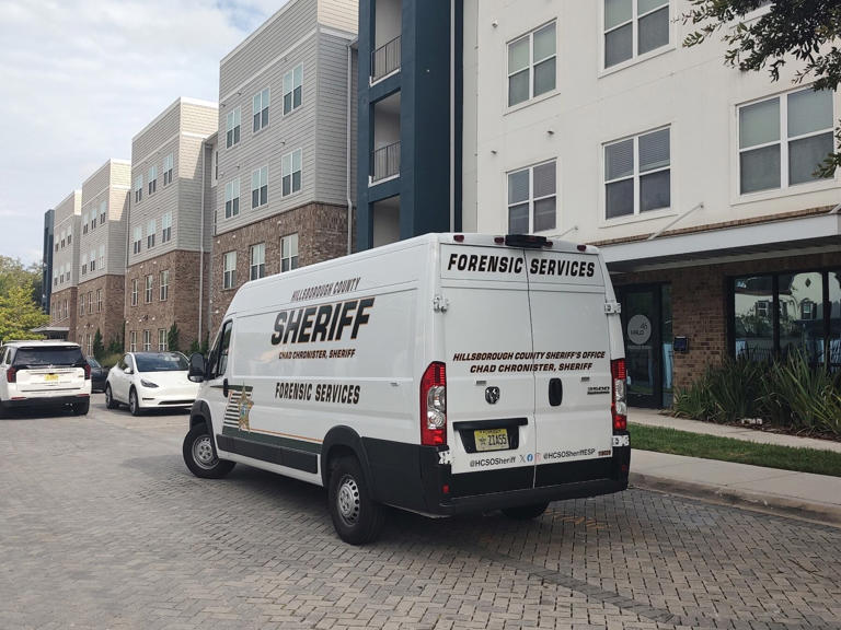 At least one USF student stabbed at apartment near campus, deputies say