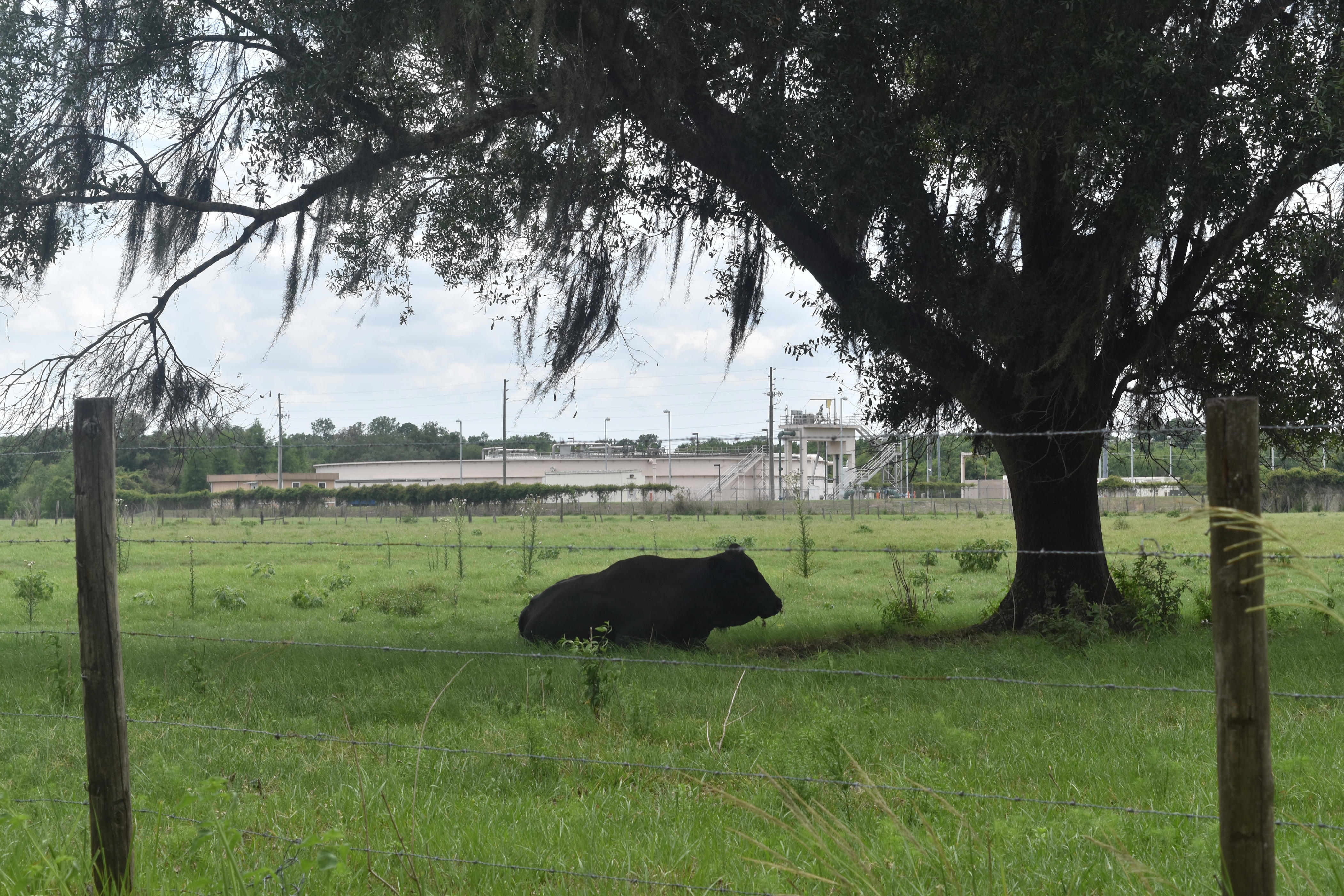 Lakeland data center still under review. City staff raise concerns