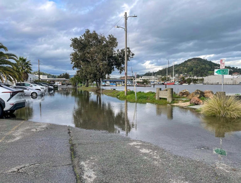 Drowning in studies: As clock ticks on rising sea levels, San Rafael ...