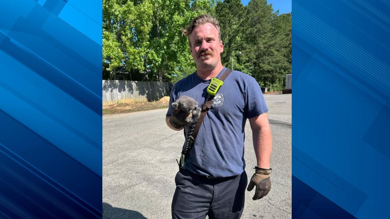 Conway fire crews rescue kitten trapped in van