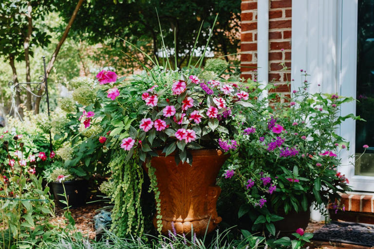 The 70/30 gardening rule is the secret to a beautiful garden all year long